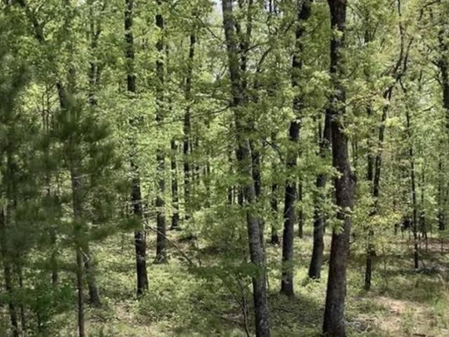 360 Gray Fox Rd Lot 15, Springville, AL 35146