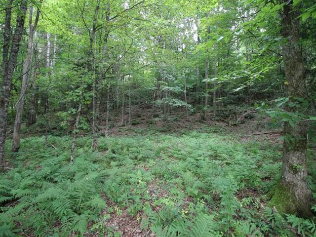 360 Liberty Hill Rd, Pittsfield, VT 05762