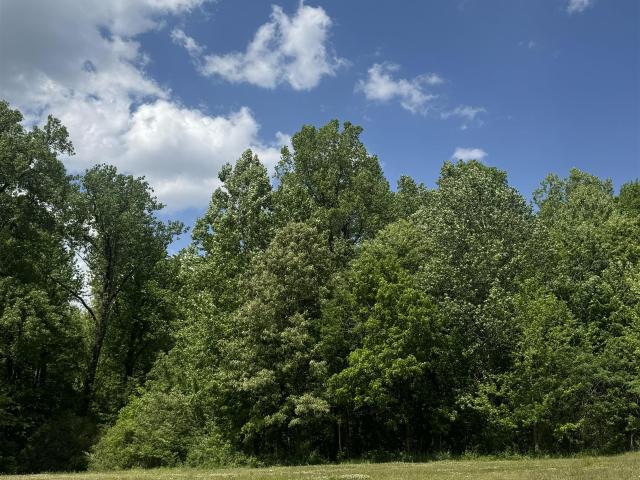 360 nicolet dr