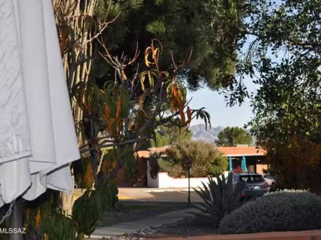 360 S Paseo Pena #C, Green Valley, AZ 85614 MLS 22429194