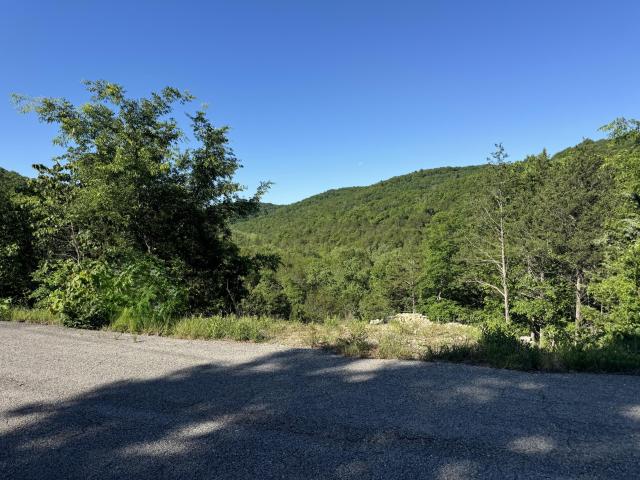 360 Timber Wolf Road # Lot 1