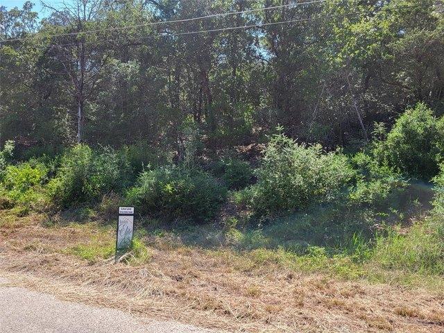 36141 and 36149 Kaelepulu Dr, Bastrop, TX 78602