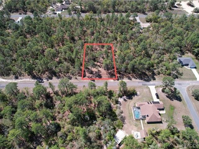 3616 W Fountain Ln, Citrus Springs, FL 34433