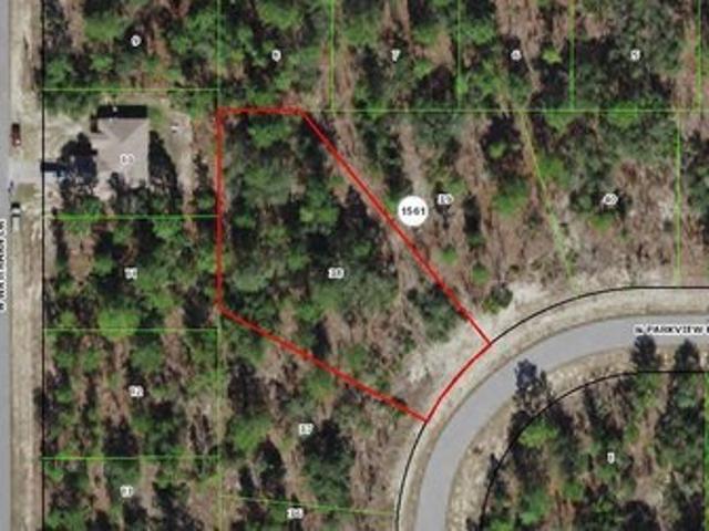 3617 W Parkview Dr, Dunnellon, FL 34433