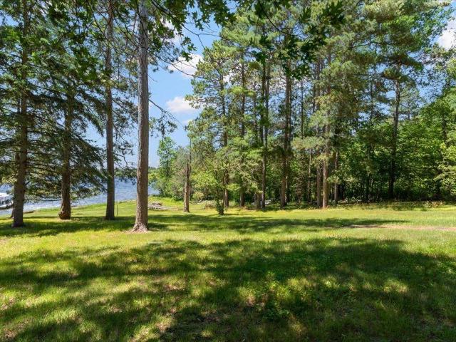 36199 Trail Of Pines Road