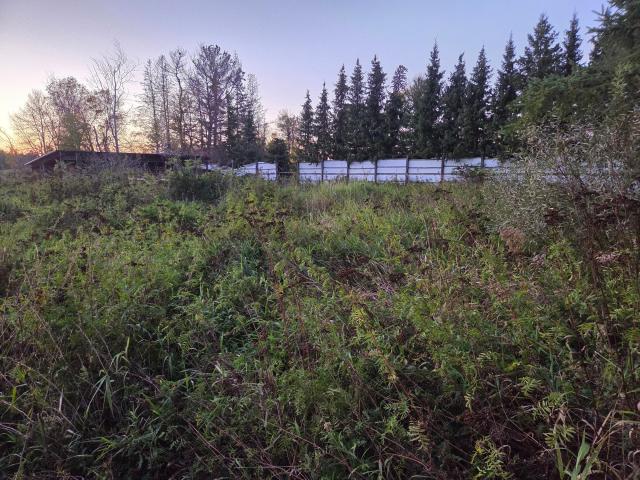 36101 Pincherry RD