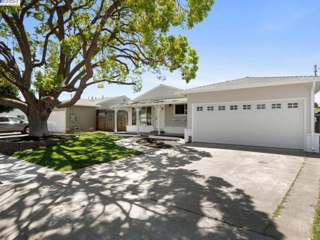 36115 Pizarro Dr, Fremont, CA 94536