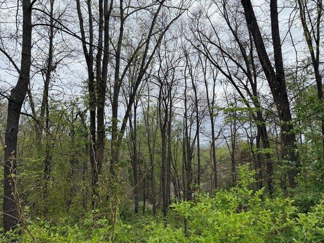 3612 Mountain View Dr, Chattanooga, TN 37406