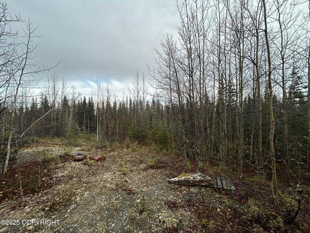 36130 Feuding Ln, Sterling, AK 99672