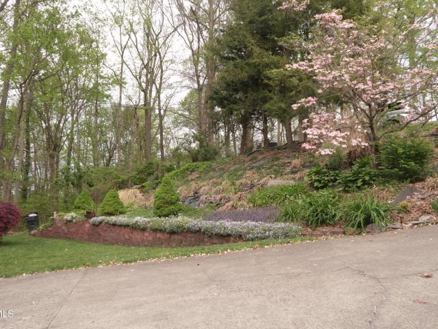 361 Cain Drive