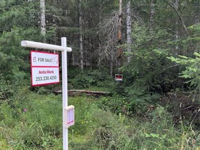 361 E Morris Creek Rd, Belfair, WA 98528