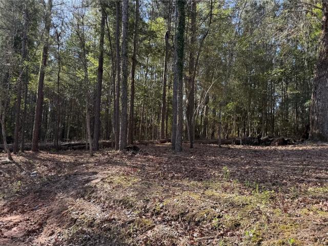 361 E Slumberlane Drive