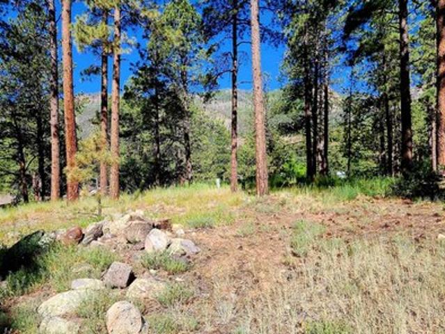 361 Hogan Cir, Durango, CO 81301