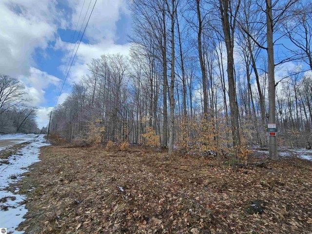 361 W Rhoby Rd, Lake City, MI 49651