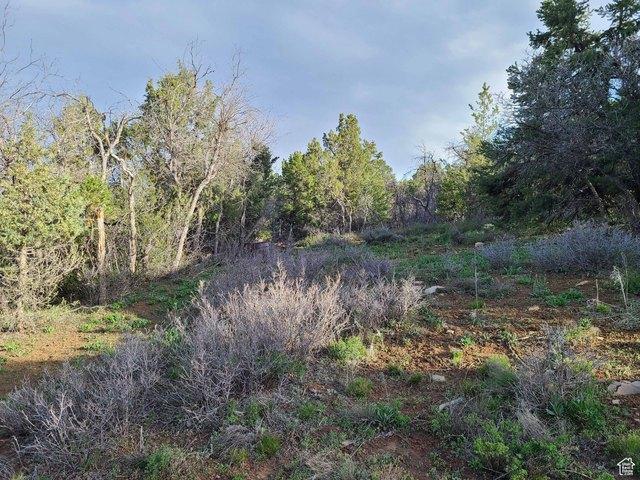 36250 N 10750 E, Indianola, UT 84629