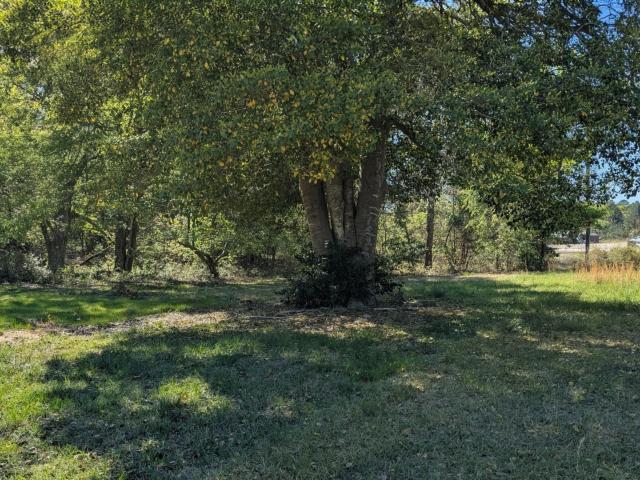 3626 Milledgeville Road