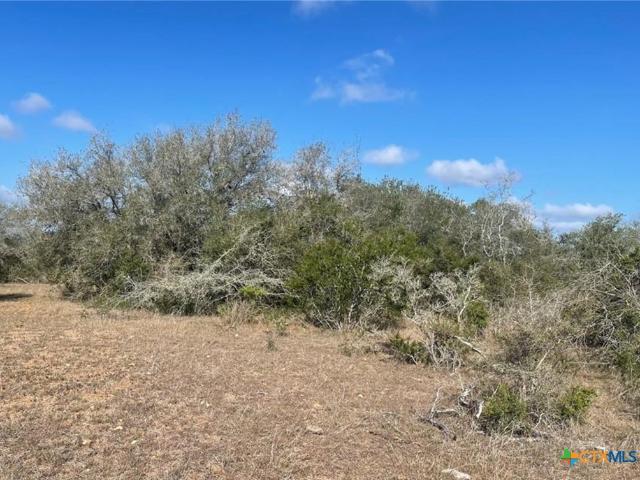 3626 Old Goliad Road