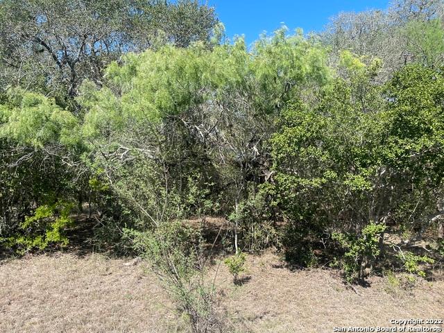3626 Old Goliad Rd