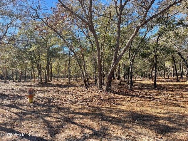 3627 Concordia Ave SW Lot 406, Supply, NC 28462