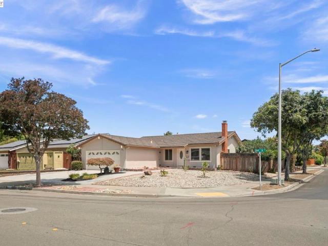 36294 Darvon St