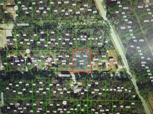 3629 E Diana Ln, Inverness, FL 34453