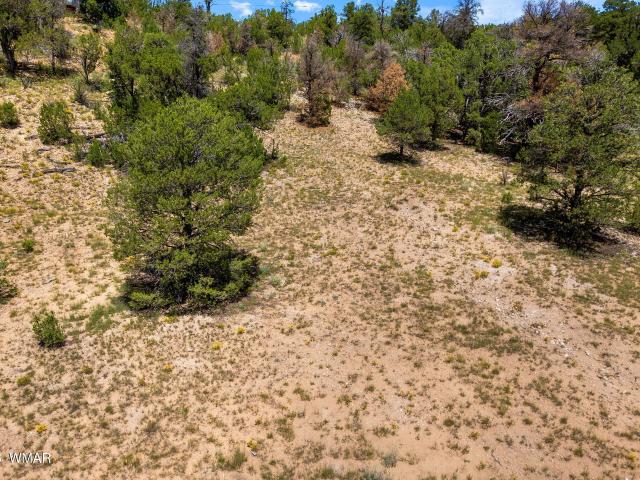 3620 Zane Grey Trail