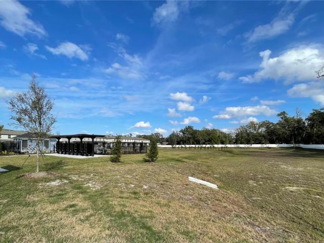 36221 Risa Michele St, Zephyrhills, FL 33541 | MLS #O6374 | Compass