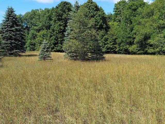 3623 Db Trl, Bellaire, MI 49615