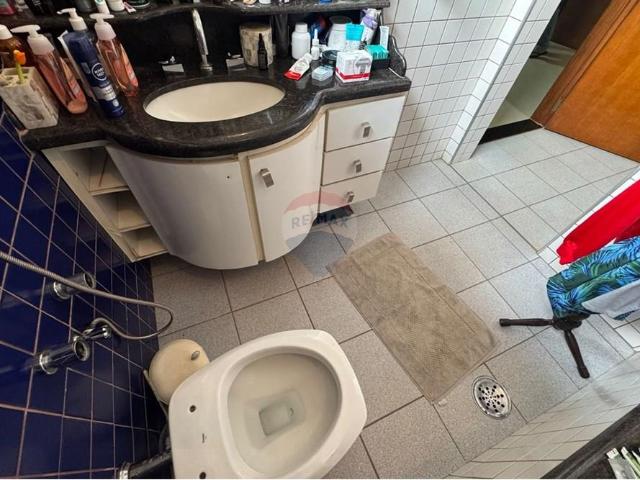 362 Área Útil Casa Alugar, 5 Dormitórios localizado em Rua Sete de Setembro, 2128, Jardim Sumaré, Ribeirão Preto, São Paulo, 14025200 | Brasil