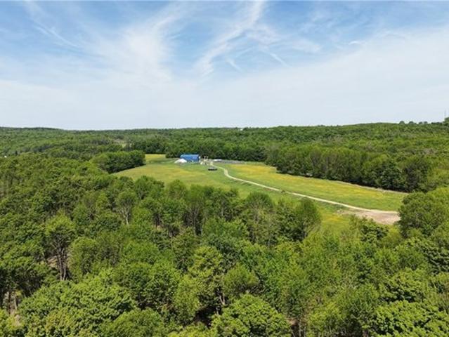 362 Brown Gale Rd, McDonough, NY 13801