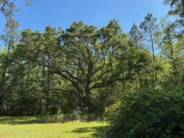362 Freddie Whiddon Rd, Webb, AL 36376