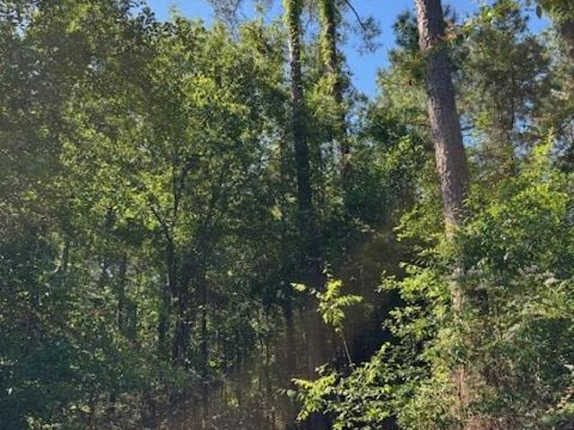 362 Freddie Whiddon Rd