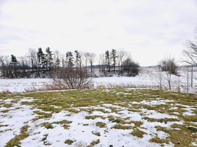 362 W Orchid Court
