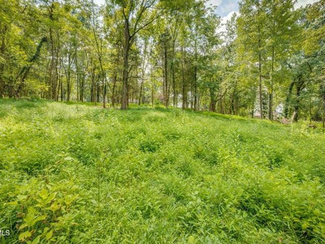 3634 Thornton Dr, Kingsport, TN 37664