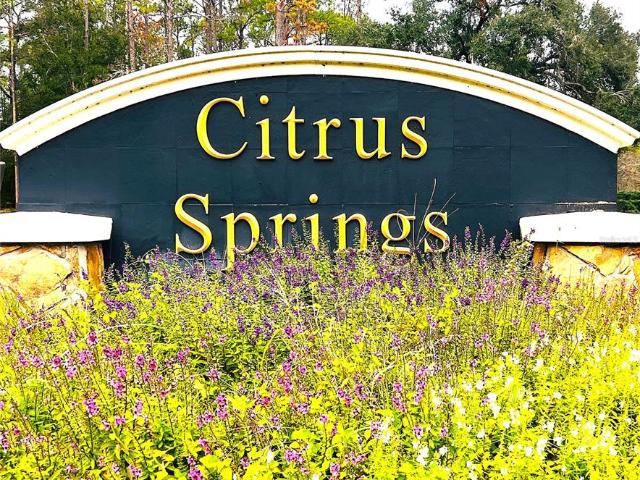3637 W Wilhelm St, Citrus Springs, FL 34433 | MLS #OM717066 | Compass