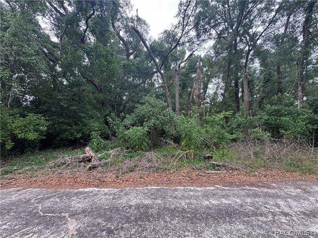 3638 E Lee Dr, Inverness, FL 34453