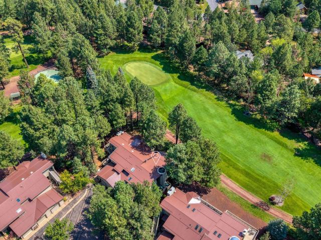 3639 Crown Dancer Drive