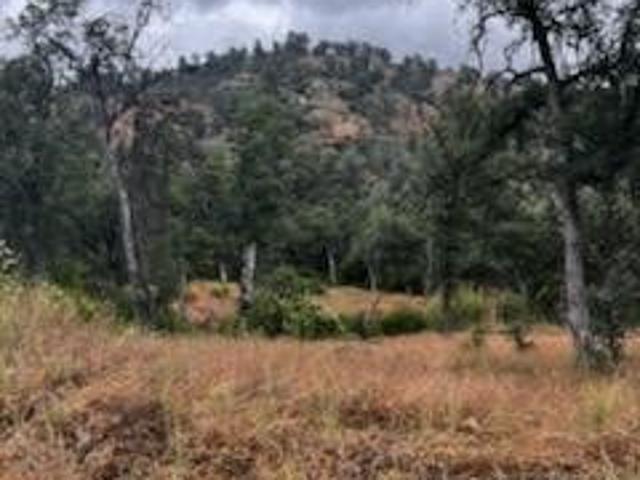 3631 Guadalupe Creek