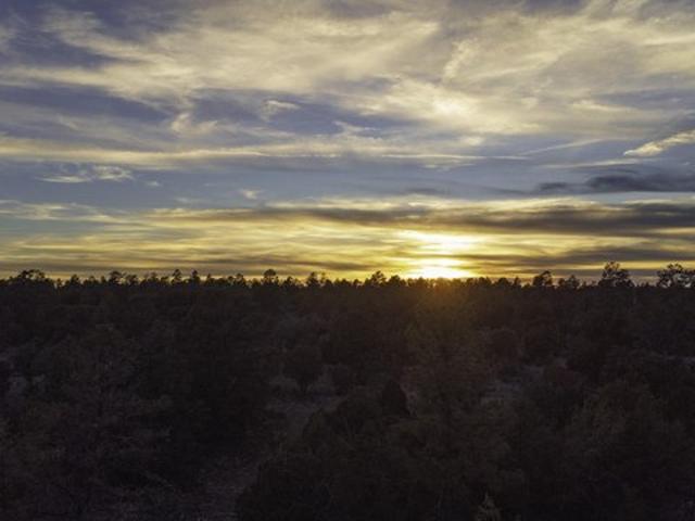 3633 Sunset Ridge Loop Unit 166, Happy Jack, AZ 86024