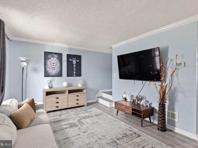 3633 Torey Lane