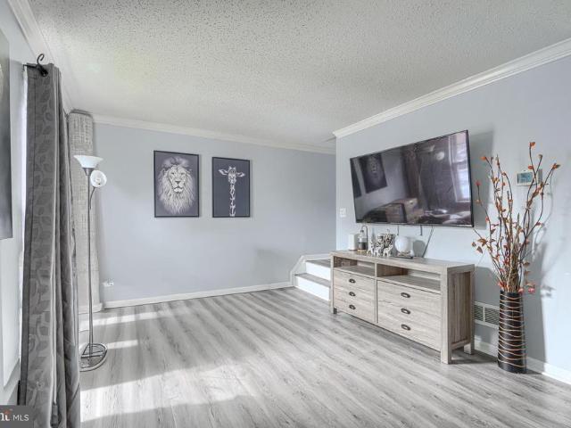 3633 Torey Lane