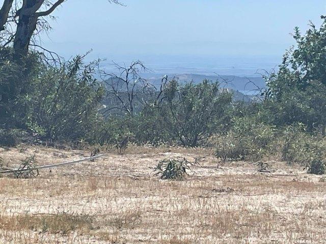 363 Raccoon Rd, Berry Creek, CA 95916