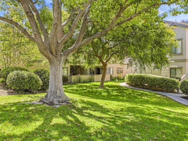 3641 Avocado Village Court 149