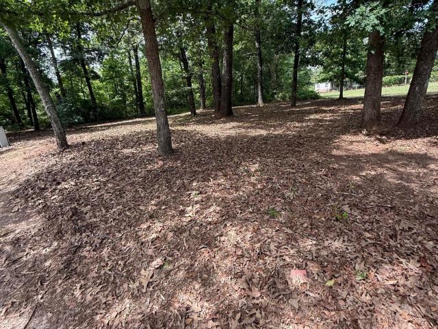 3641 Hillman Gay Rd, Dearing, GA 30808 | MLS #98257