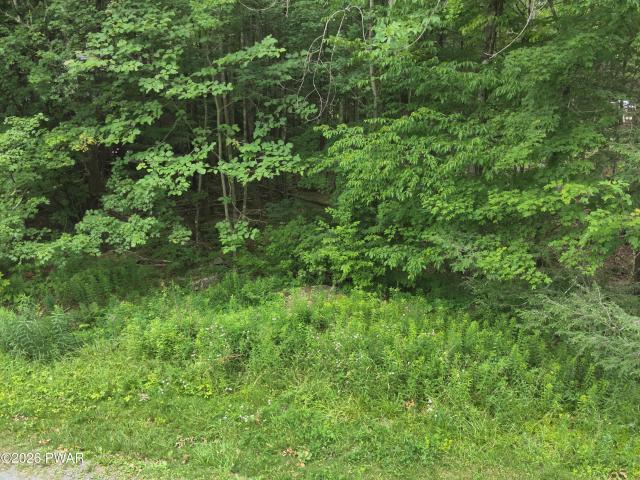 3642 Hidden Lake Drive