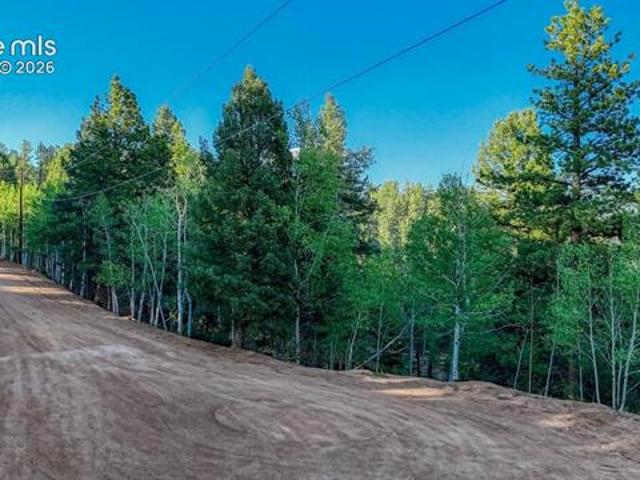 364 Blue Spruce Road