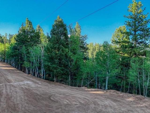 364 Blue Spruce Rd Lot 23, Divide, CO 80814