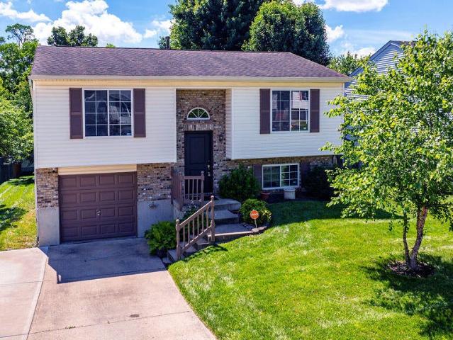 3655 Mitten Drive