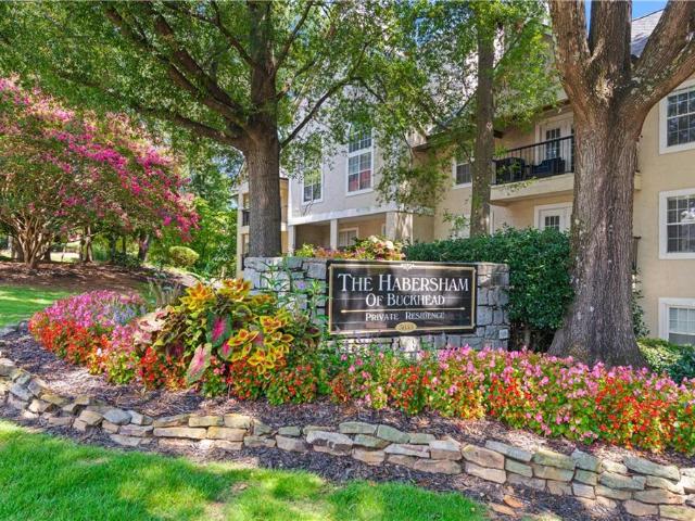 3655 Habersham Road NE B240