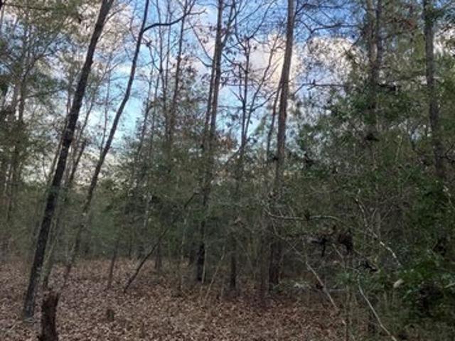 36581 Odom Rd, Dozier, AL 36028